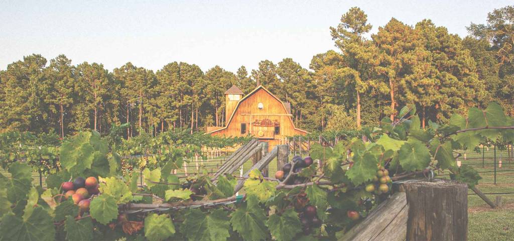 Walkers Mill Vineyard & Winery